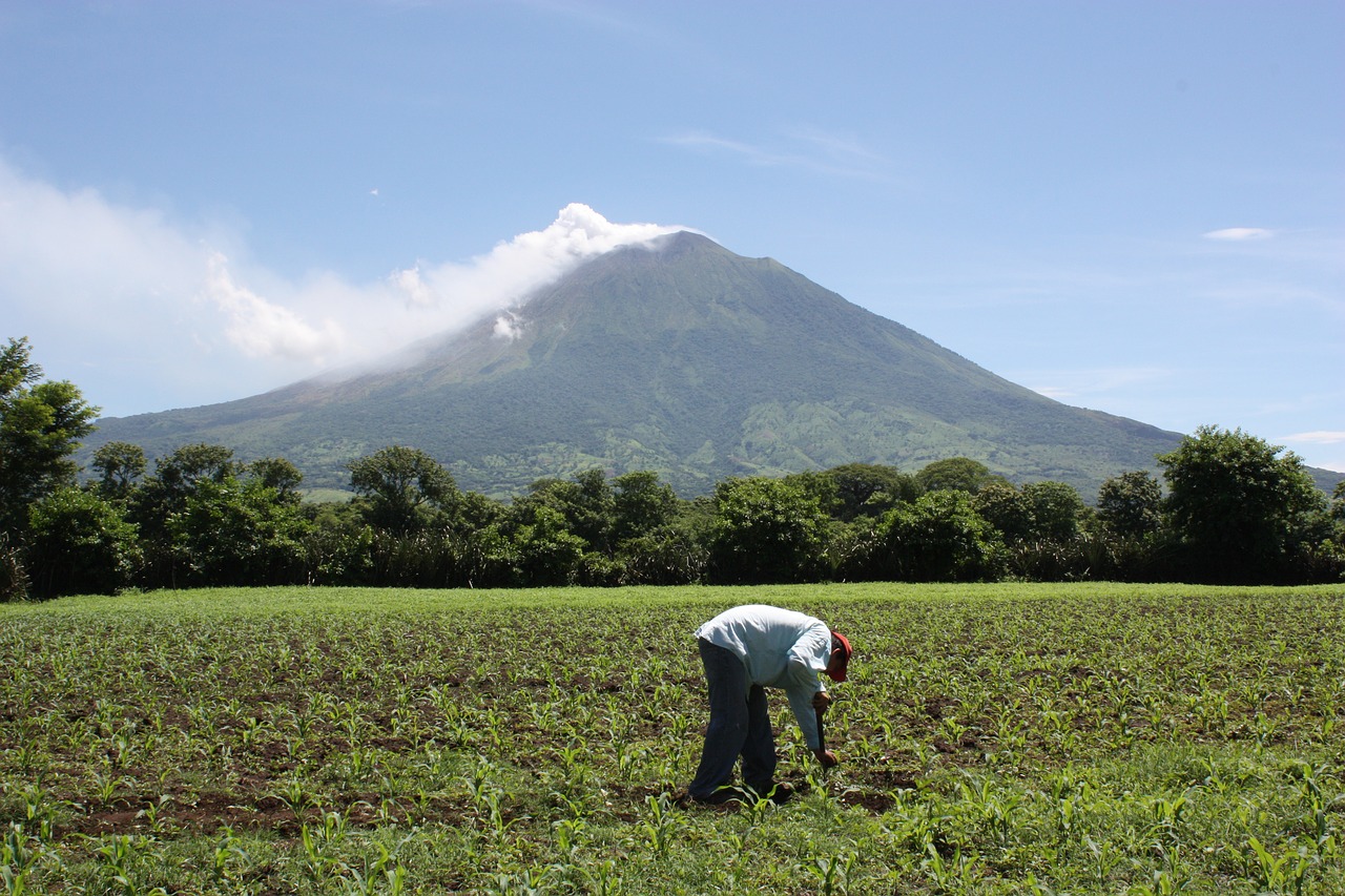 Turismo en los Volcanes de El Salvador | guanacos