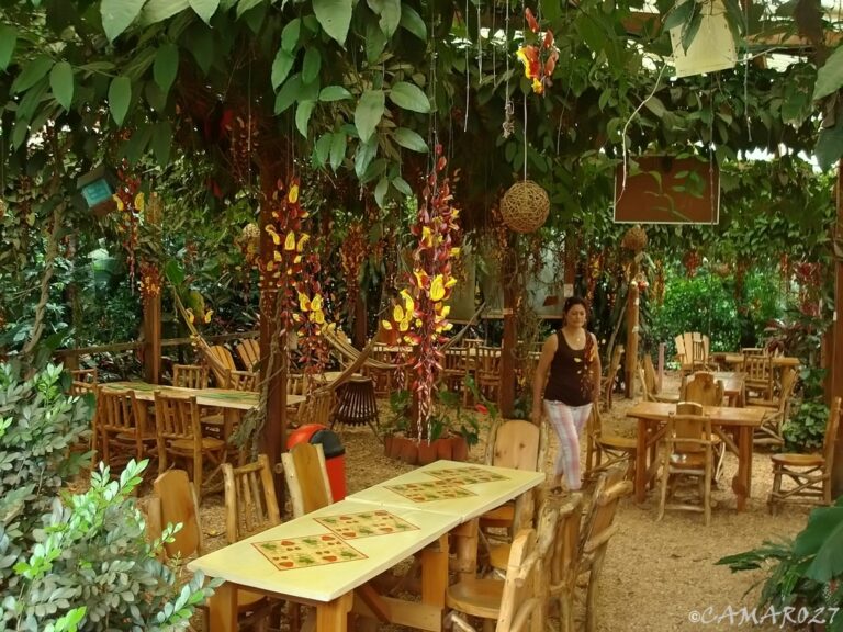 Restaurantes más recomendados en Apaneca | Guanacos