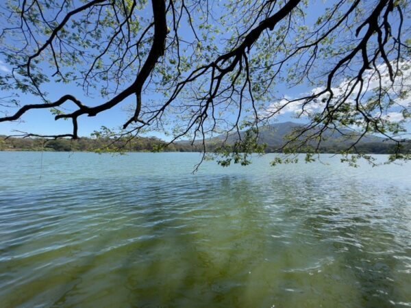 Laguna de Chanmico: El Cementerio Indígena | Guanacos