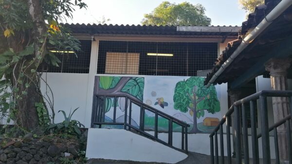Cacaopera y las danzas de Los Emplumados y Los Negritos | Guanacos