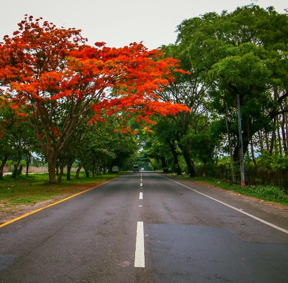 La Descarnada, el espíritu de las carreteras solitarias | Guanacos