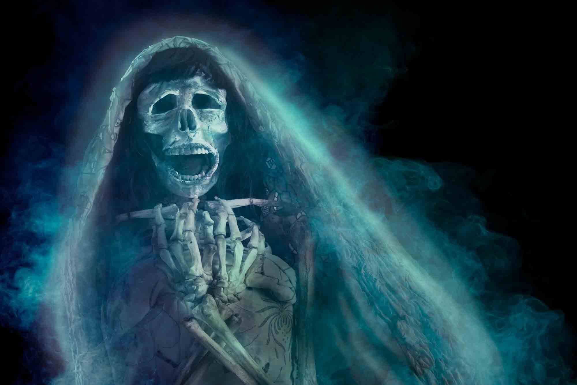 La Descarnada, el espíritu de las carreteras solitarias | Guanacos