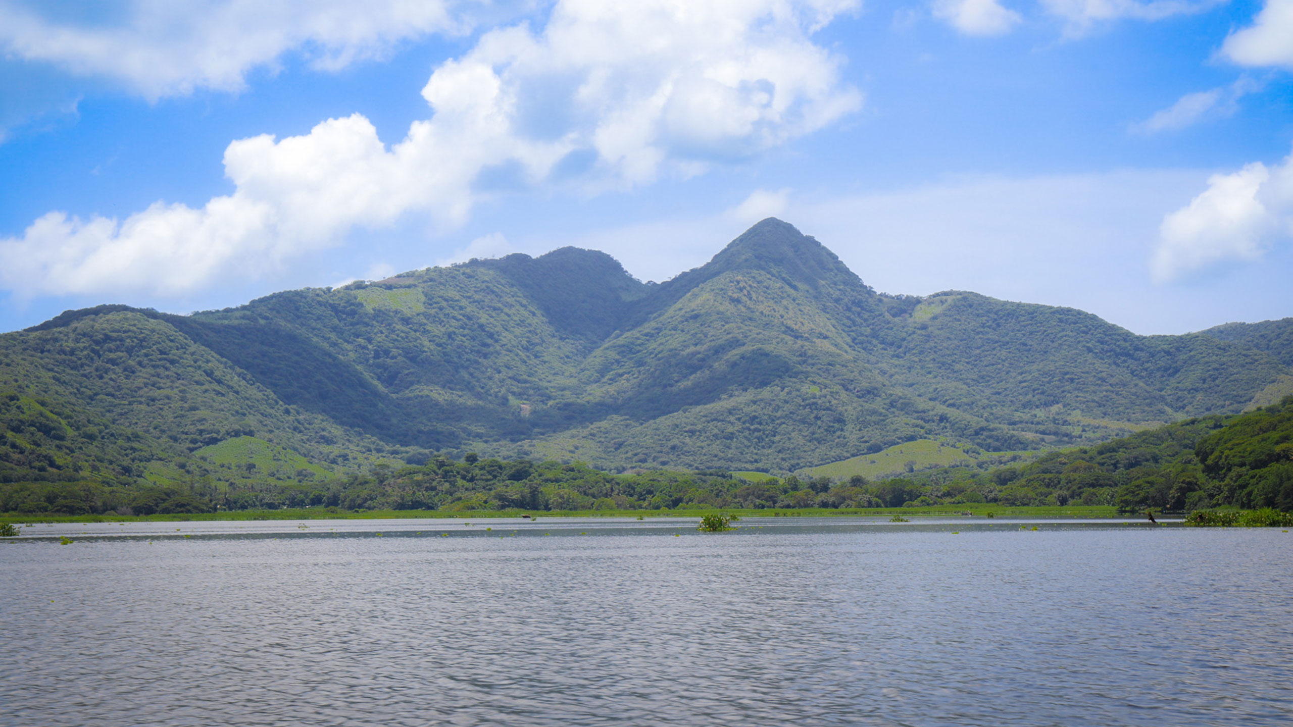 Laguna de Olomega, Sitio Ramsar de El Salvador | Guanacos