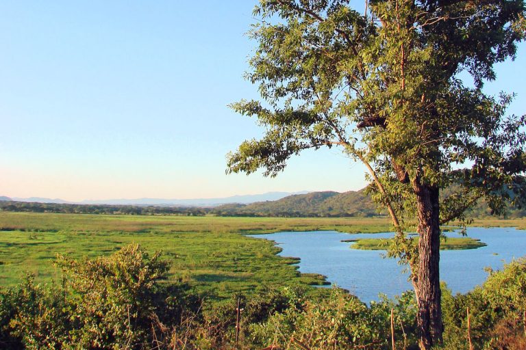 Laguna de Olomega, Sitio Ramsar de El Salvador | Guanacos