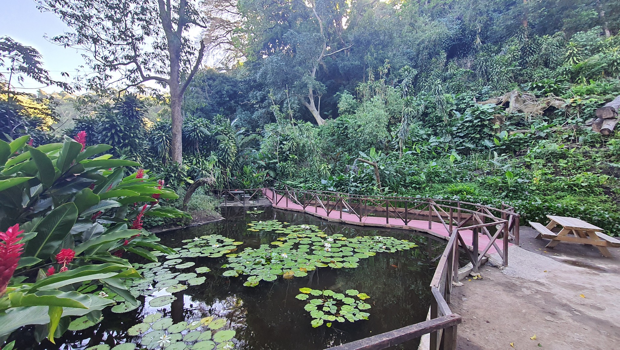 Jardín Botánico La Laguna, destino natural salvadoreño | Guanacos