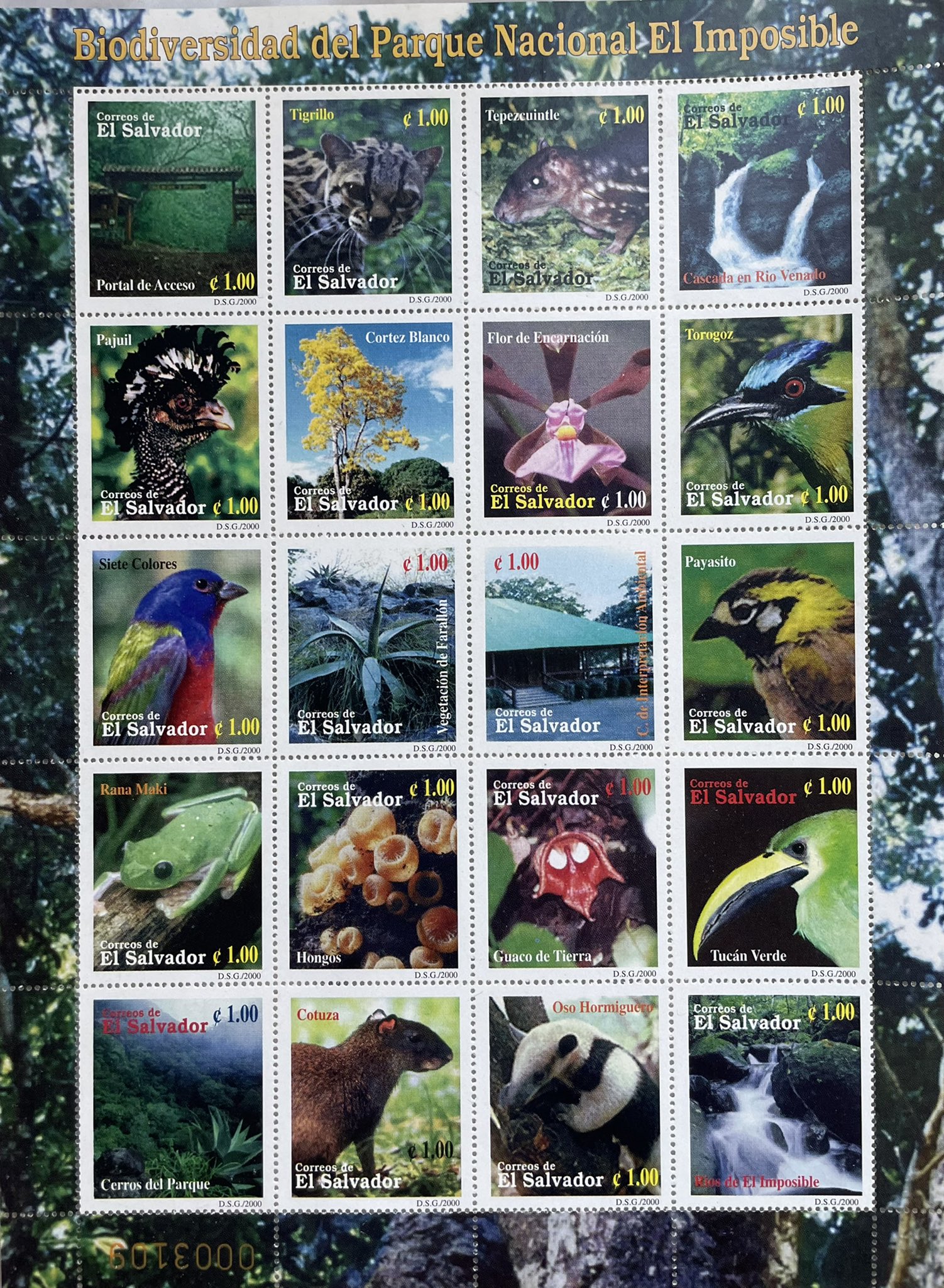 Parque Nacional El Imposible, el parque más grande de El Salvador ...