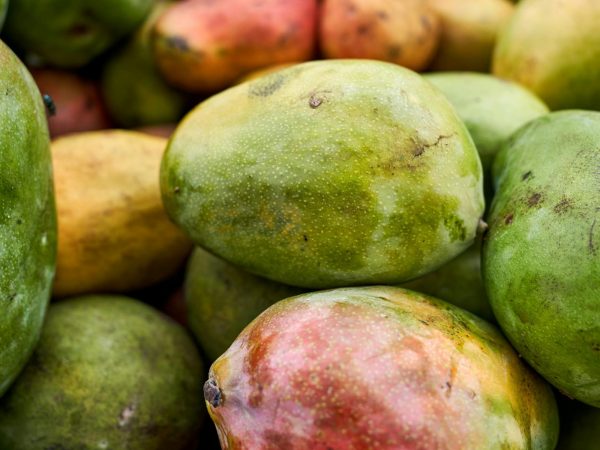 Mango verde y cómo lo comemos en El Salvador | Guanacos